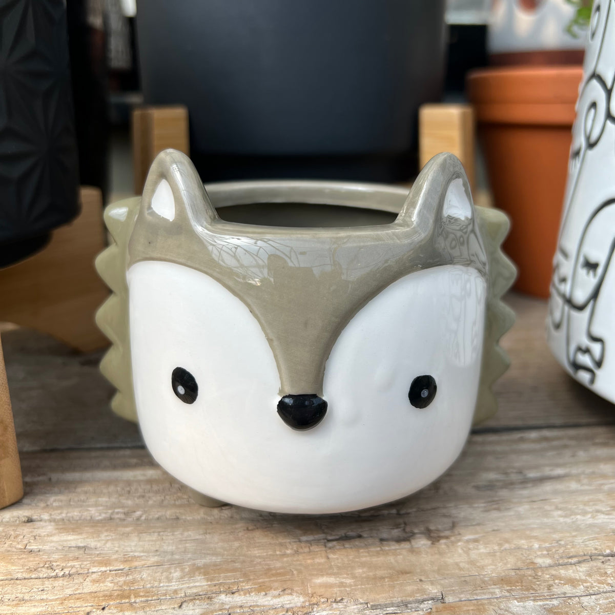 Rubi hedgy taupe plant pot 3.5 inches – Serres Lavoie